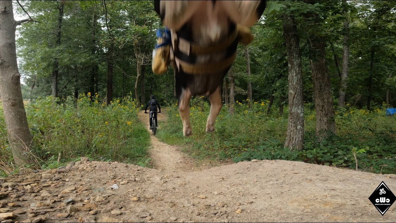 cWc - Trail Doggo 1 - YouTube