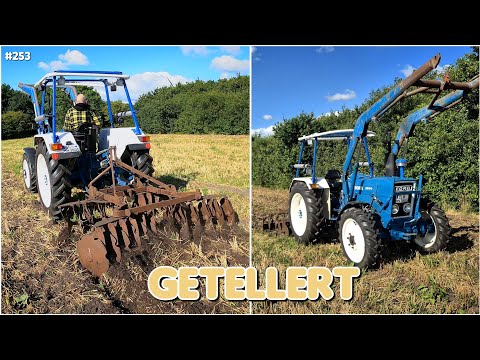 FORD 3600 AS mit 2m Scheibenegge im EINSATZ | Heuwenden KRONE KW7.70 | oldtimer_junkie