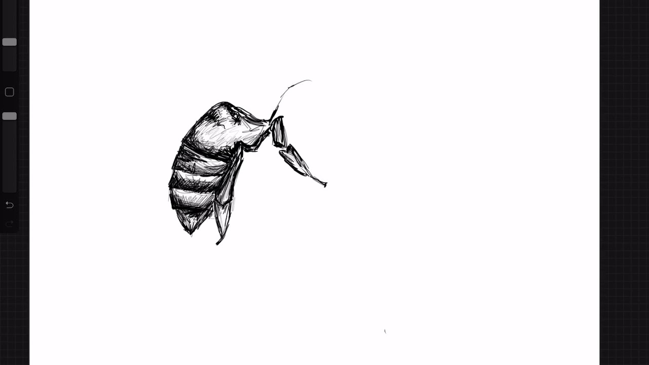 Digital Bee drawing - YouTube