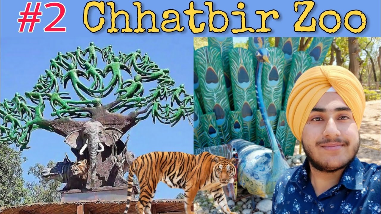 Visit to Chhatbir ZOO Chandigarh 🐊🐅!!V-log #2 - YouTube
