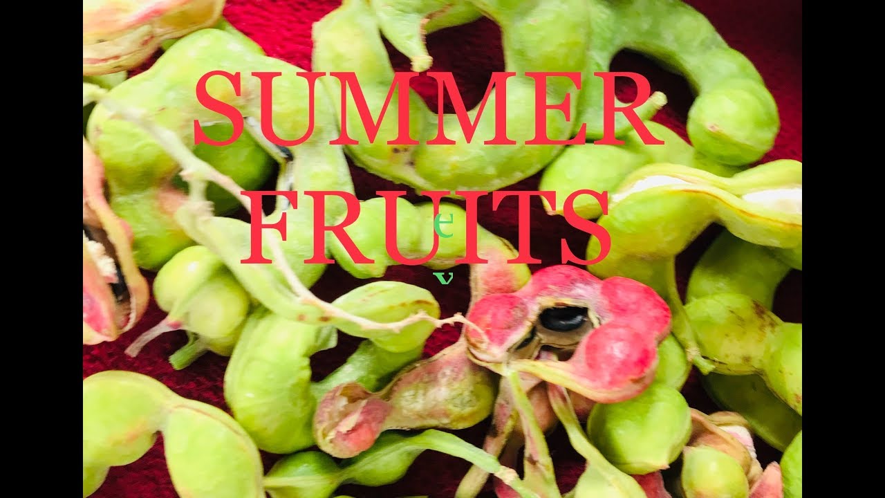 PRUTAS SA TAG INIT (PRUTAS SA PINAS) - YouTube