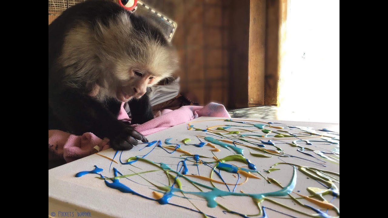 Painting Collaboration - Belinda Carlisle And Pockets Warhol - YouTube