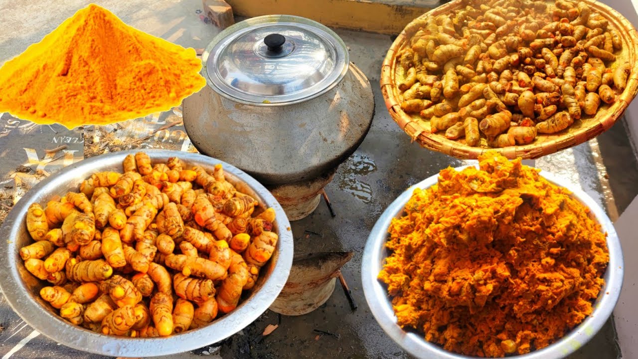 घर पर बनाएं 100% शुद्ध हल्दी पाउडर कच्ची हल्दी से | शुद्ध बनाने का सबसे ...