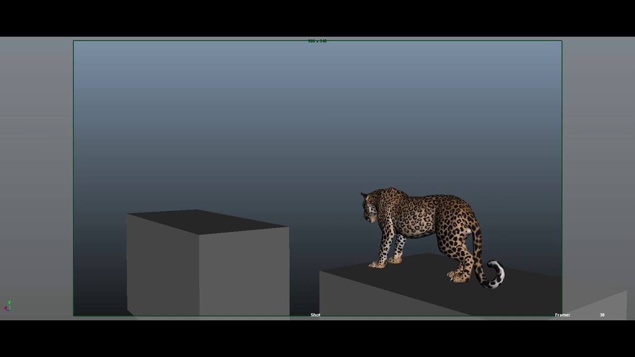 Leopard Jump (3D Animation) - YouTube