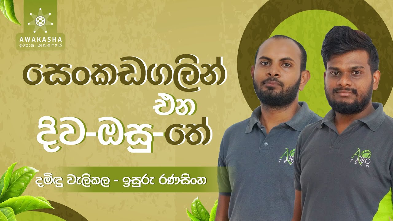 Tea Beyond Tradition: A Journey of Herbal Tea Innovation | Damindu Welikala & Isuru Ranasinghe ...