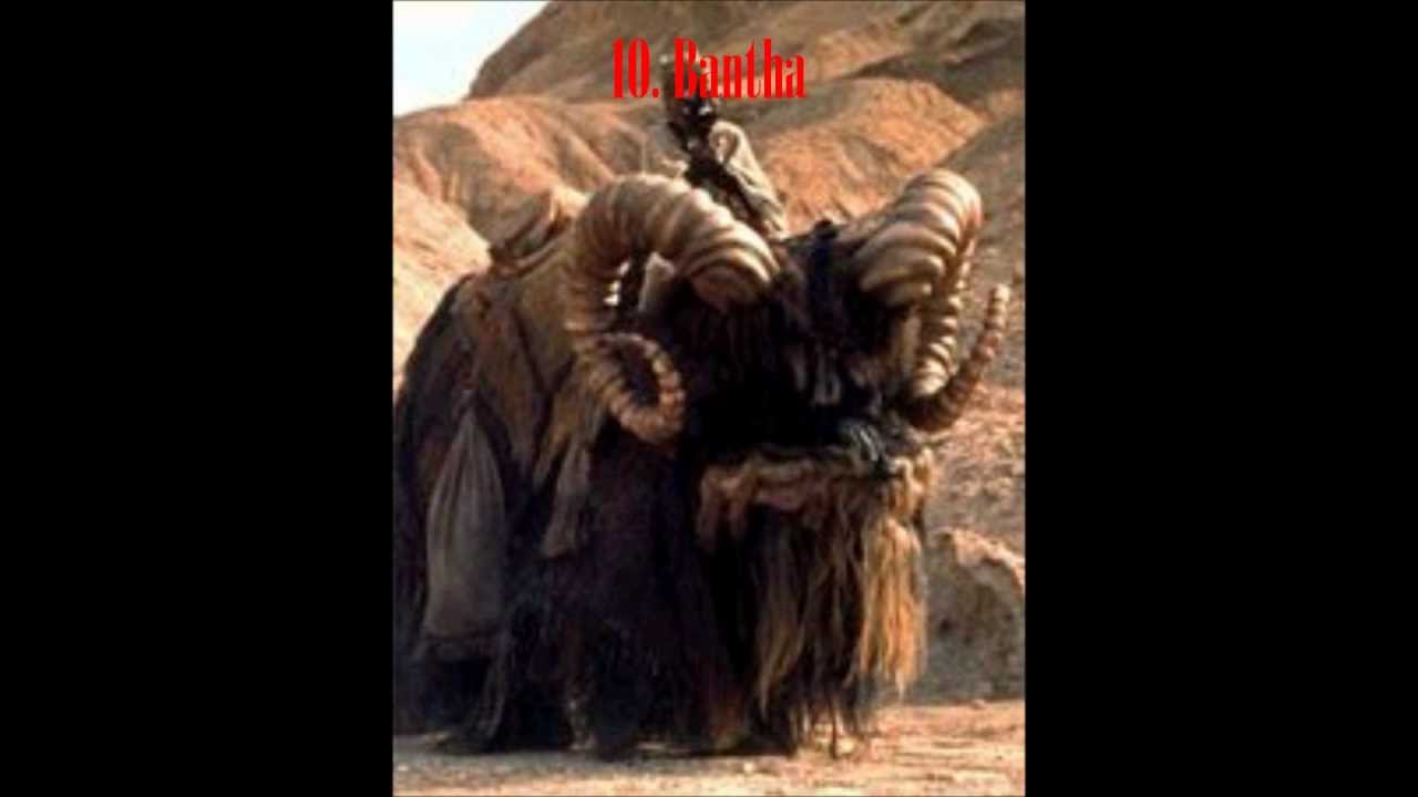 Top 10: Random Star Wars Characters - YouTube