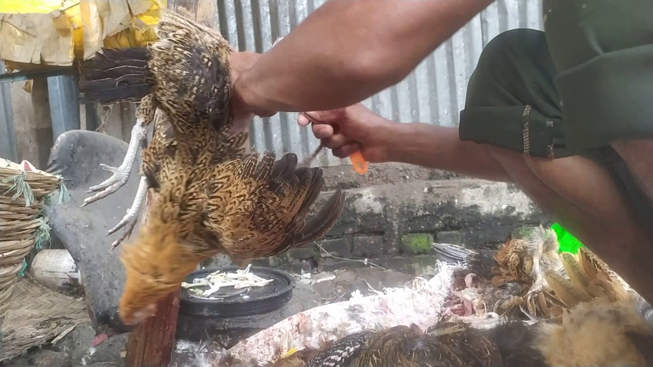 Awesome Creative Chicken Cutting Skills In Bangladeshi Chicken Market ...