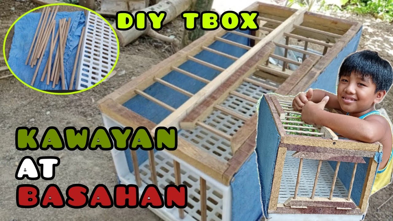 DIY BAMBOO TRAINING BOX🤣🤣👍🏼👍🏼 HOW TO MAKE PIGEON TRAINING BOX ️🕊️ - YouTube