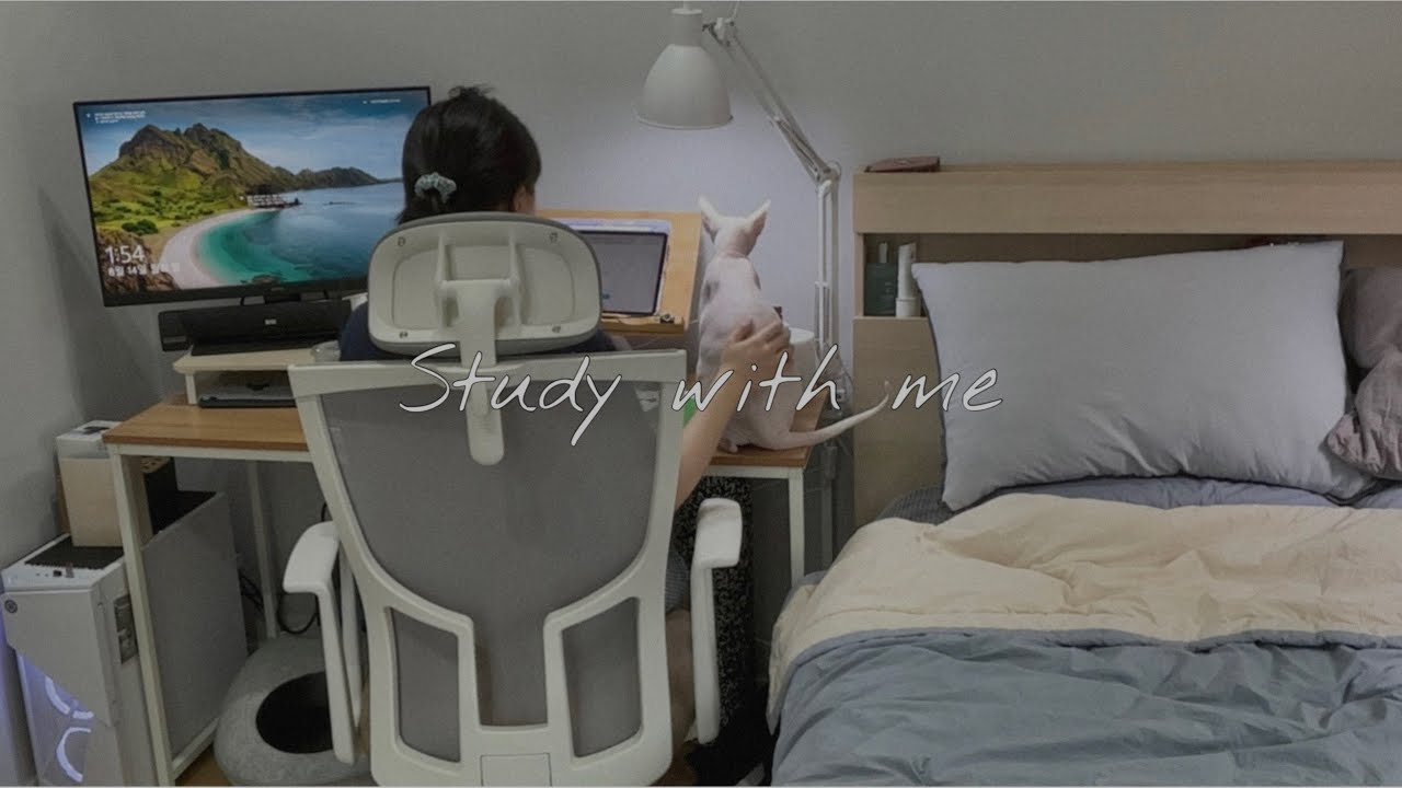 🐱1H Study with me🐱냥이랑 집 공부📝| 스즈메의 문단속|(Suzume no Tojimari) OST- Suzume ...