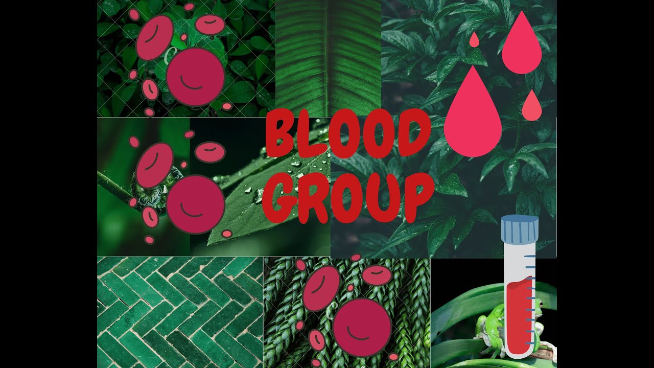 Blood group (Part-3) - YouTube