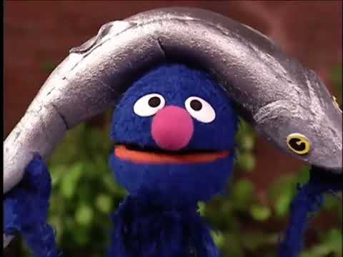 Global Grover: Angola Fishing