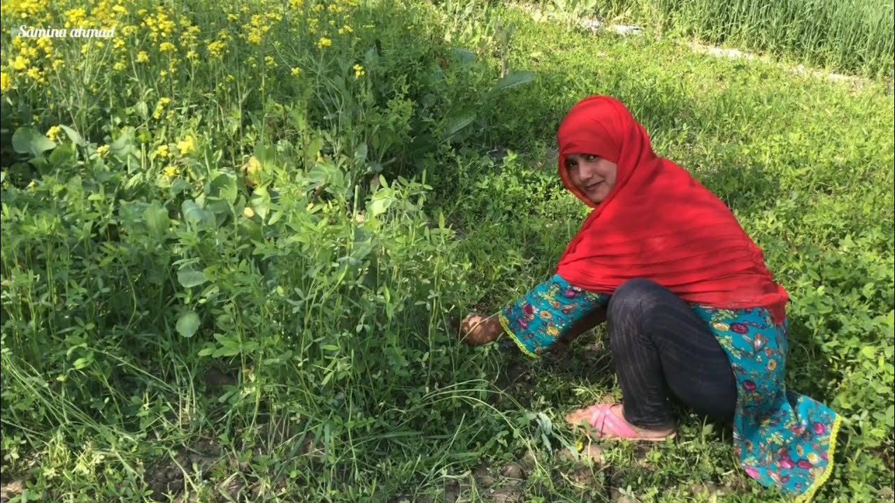 Daily routine village life in pakistan || pakistan poor village life ...
