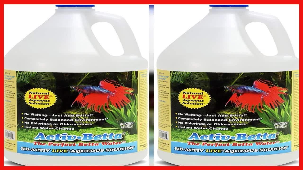 Activ Beta by Natures Ocean, Instant Water for Betta and All Fresh ...