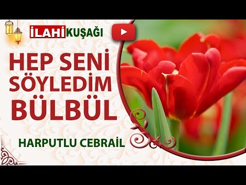 Defli İlahi - Harputlu Cebrail / Hep Seni Söyledim Bülbül / İlahi Kuşağı