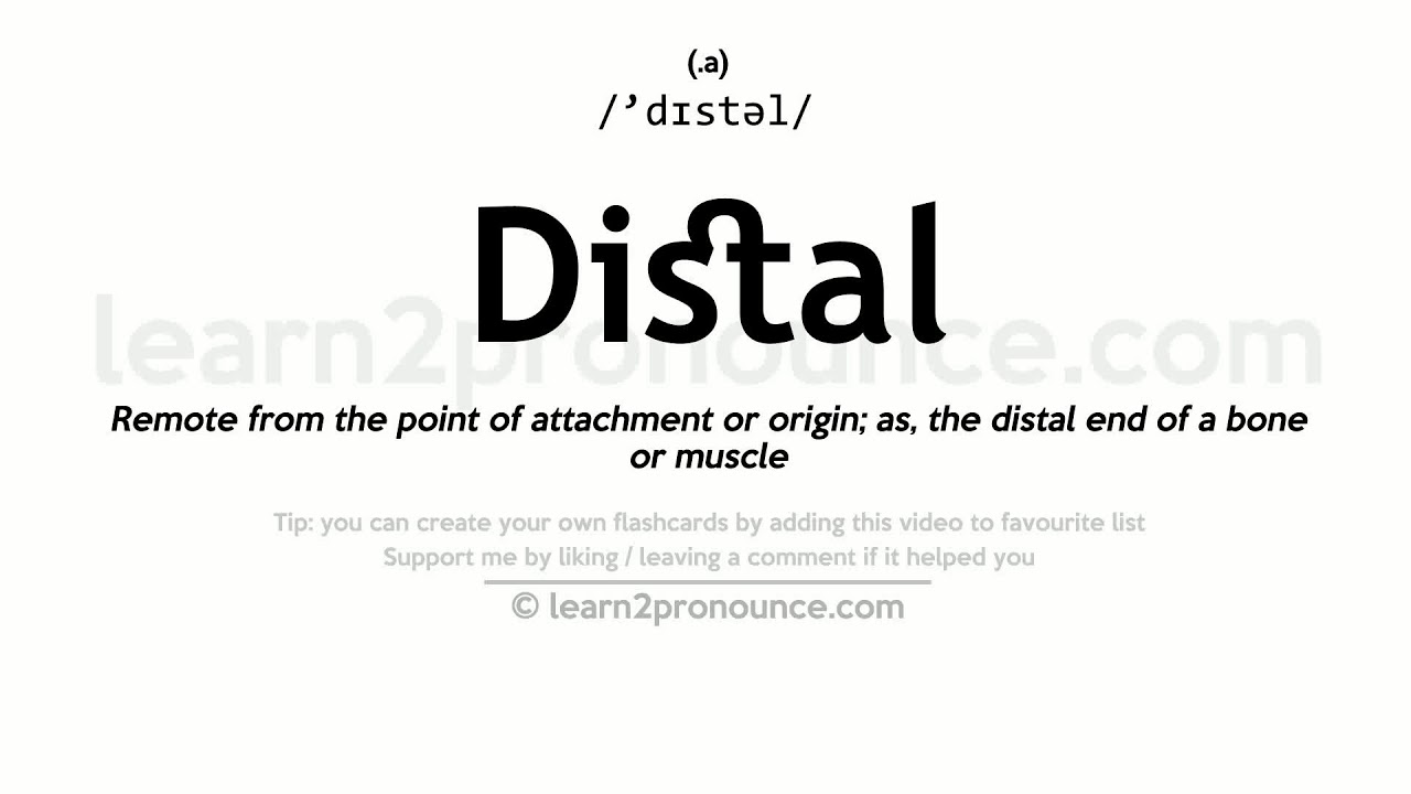 Pronunciation of Distal | Definition of Distal - YouTube