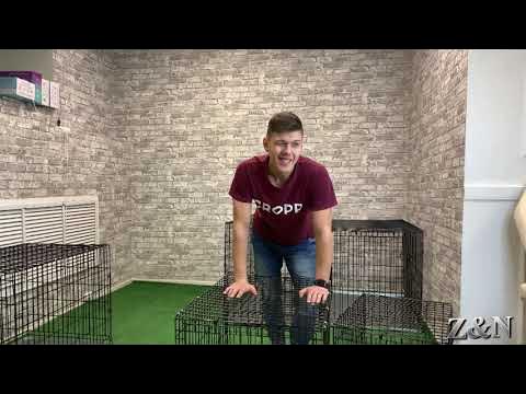 ЛУЧШИЕ Клетки для собак в квартиру - YouTube
