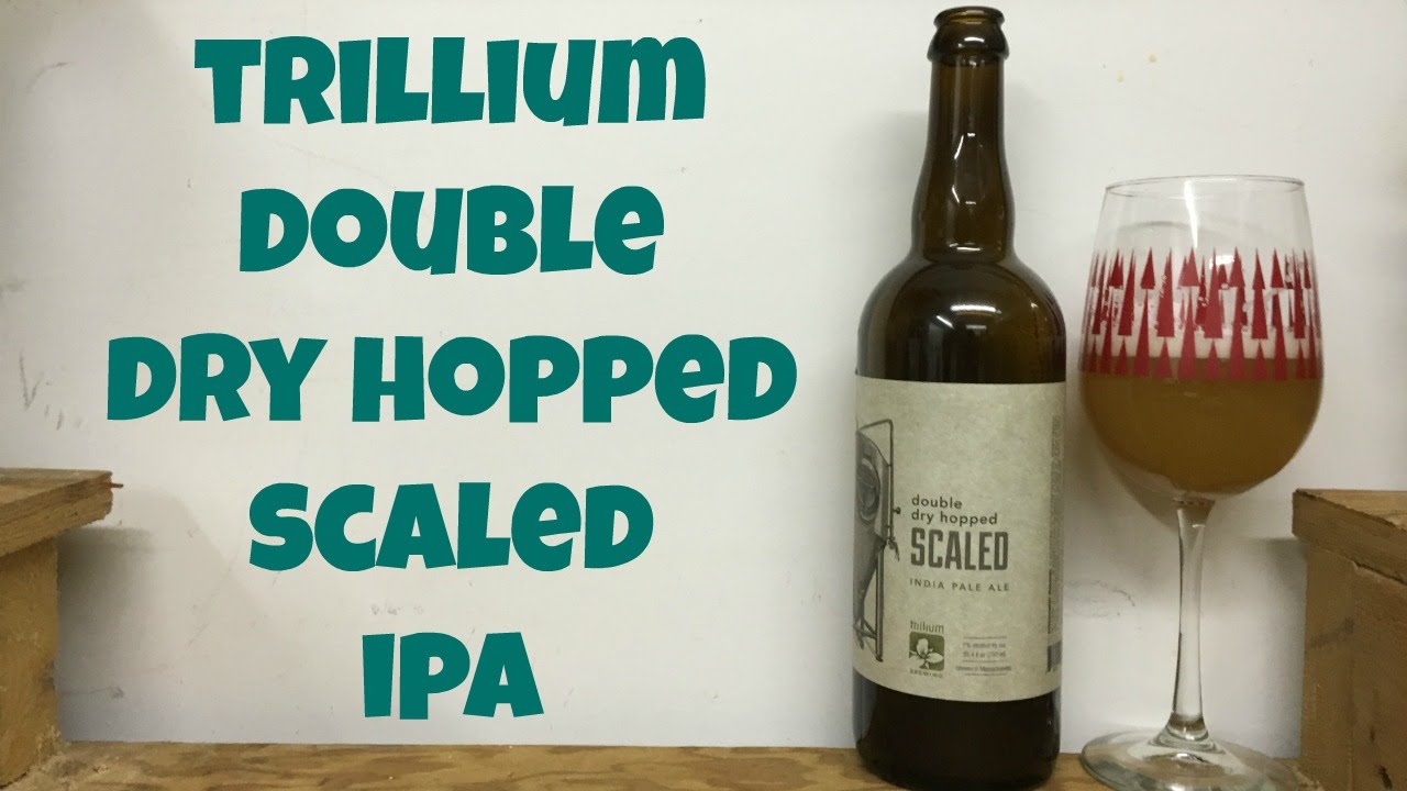 Trillium Double Dry Hopped (DDH) Scaled IPA Review - Ep. #657 - YouTube
