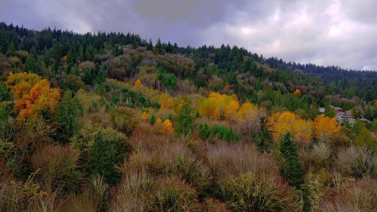 Issaquah, Washington in gloomy weather is still beautiful in November ...