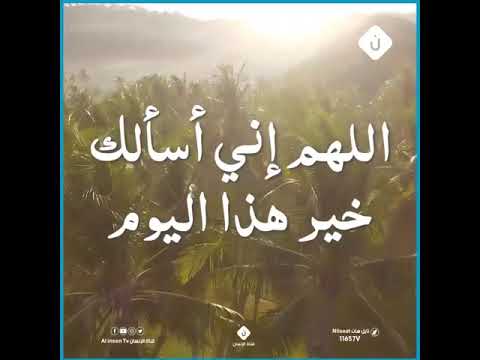 Dua | Telawat | Status Video | WhatsApp Status Video | Muhammadi Message Service | MMS•SFD |