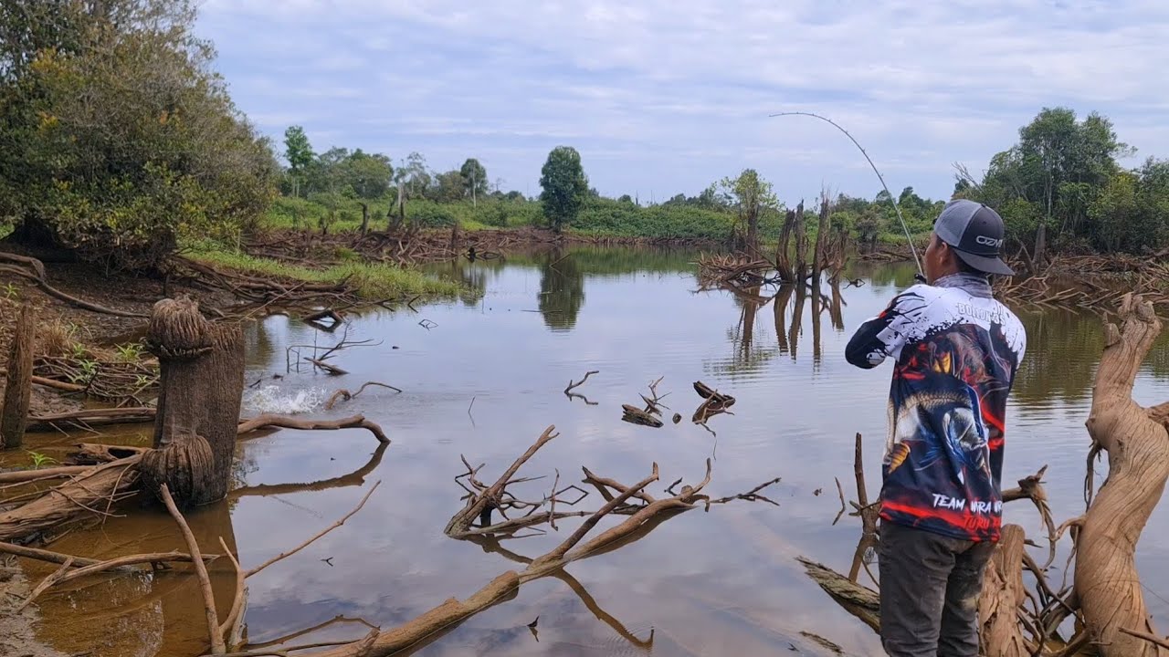 Mengadu Nasib.! Casting Ikan Gabus Di Danau Yang Hampir Kering - YouTube