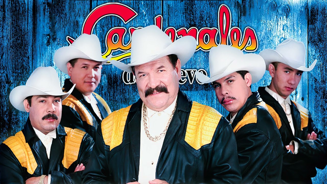 LOS CARDENALES DE NUEVO LEON MIX PUROS EXITOS PARA BAILAR VOL 2 2022 ...