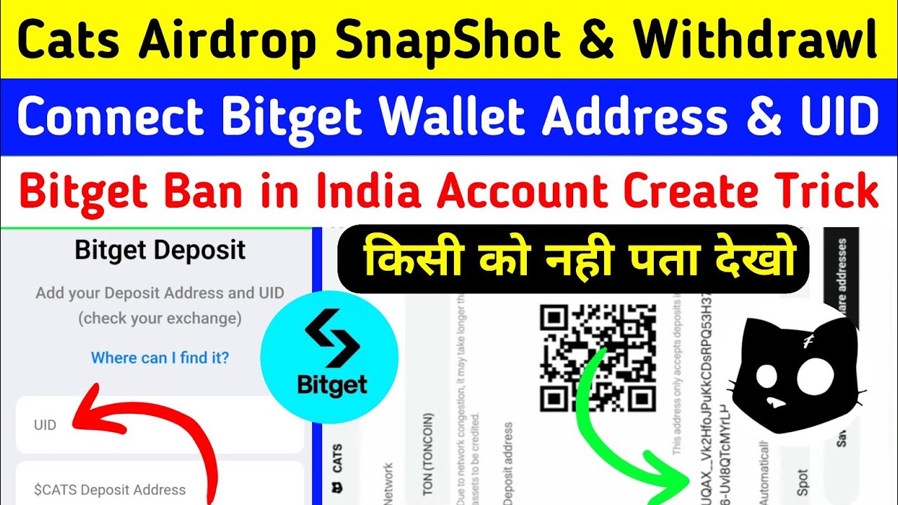 Cats Airdrop Withdrawl Bitget Cats Deposit Address & UID | Cats Bitget ...