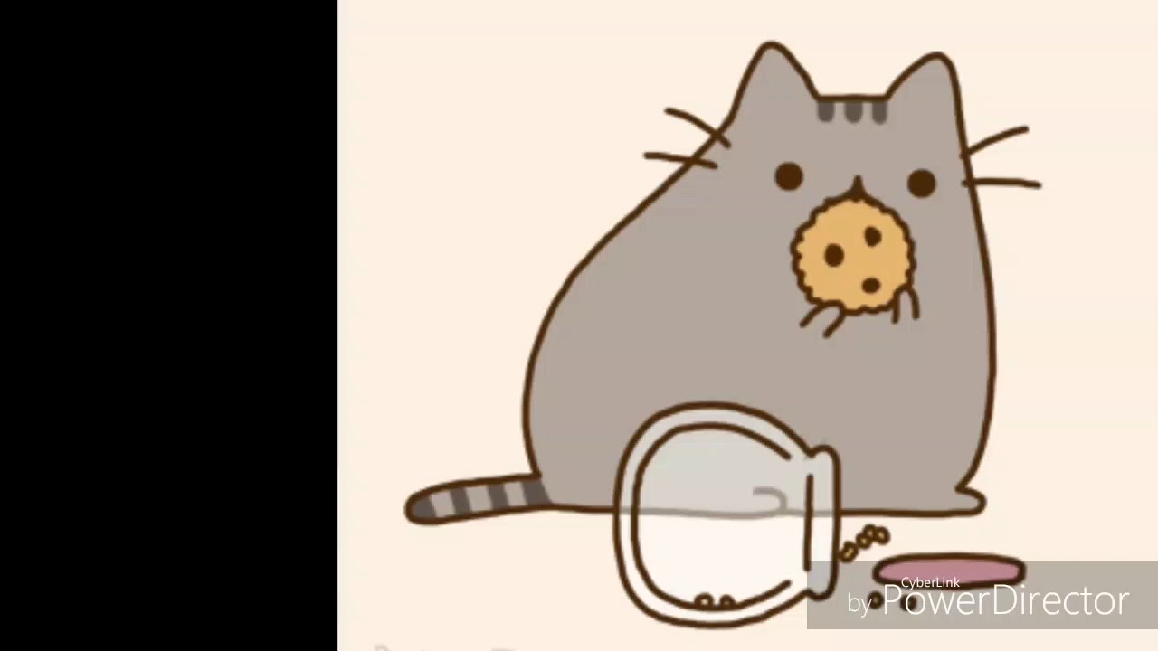 Pusher cat / Pusher Gato :3 (canciones En la descripcion) - YouTube