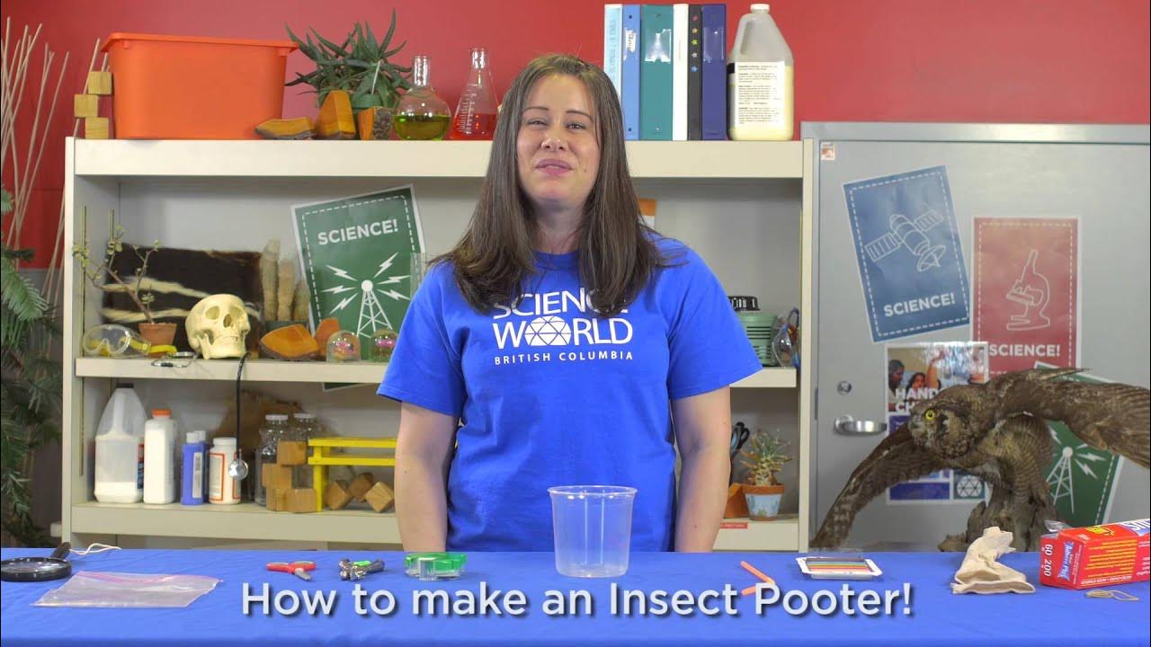 How to make an insect pooter - YouTube