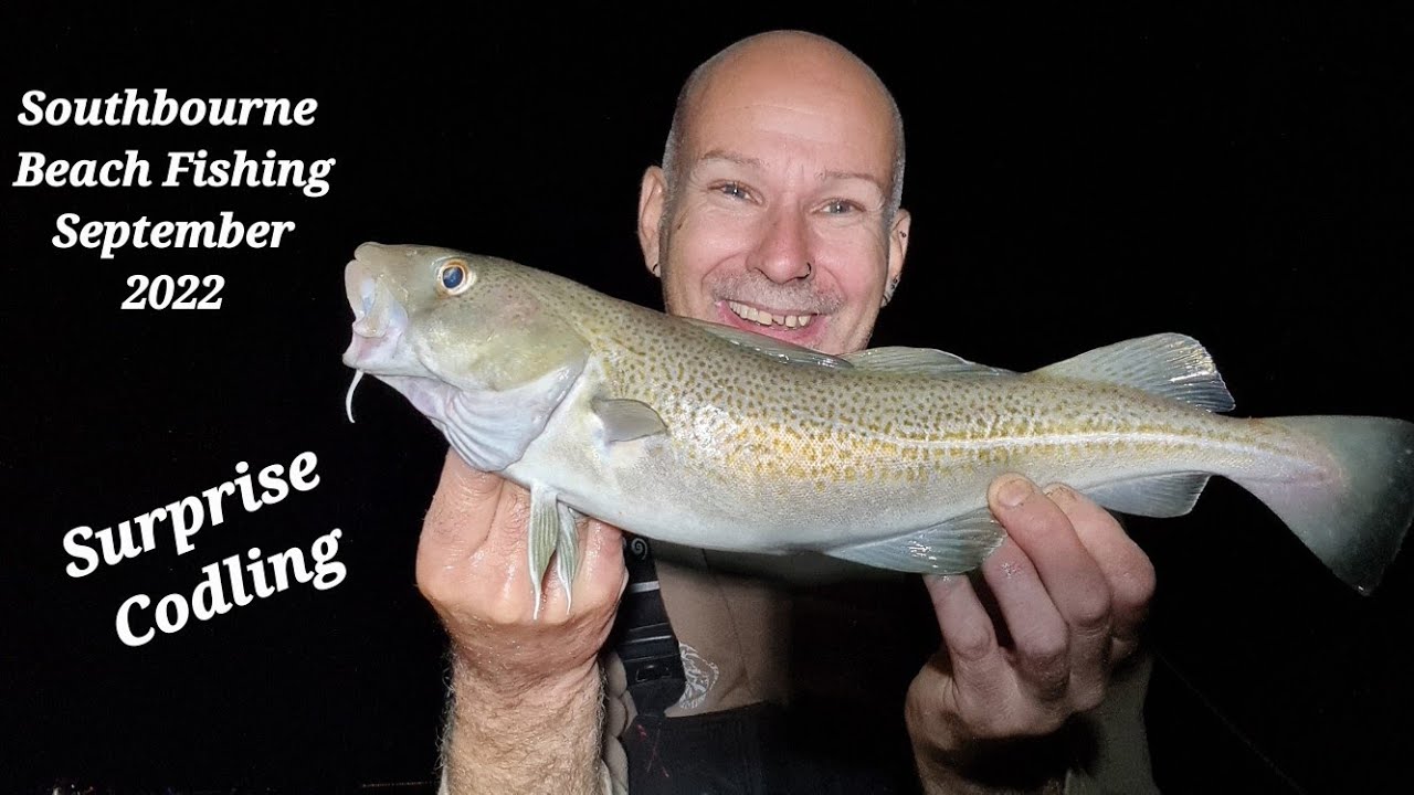 Southbourne Beach Fishing Dorset Fishing Cod Fishing Plaice Fishing ...
