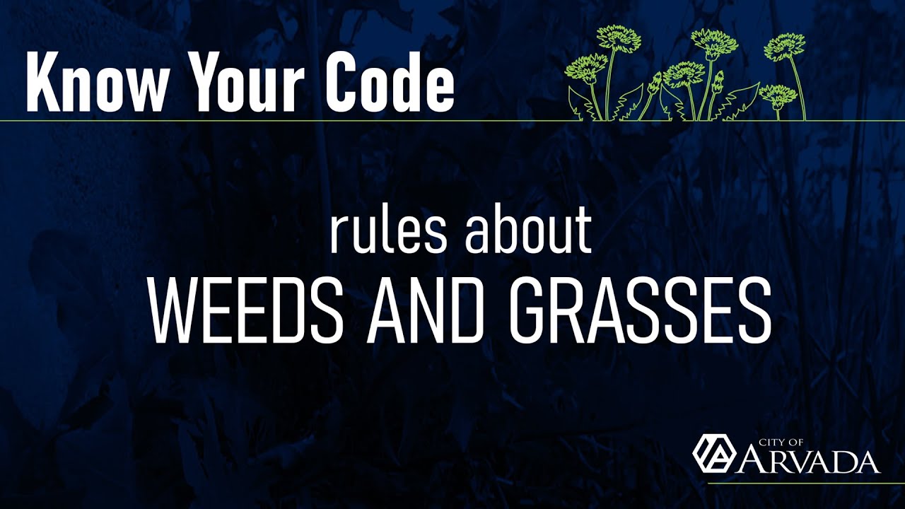 Know Your Code - Weeds and Grass - YouTube