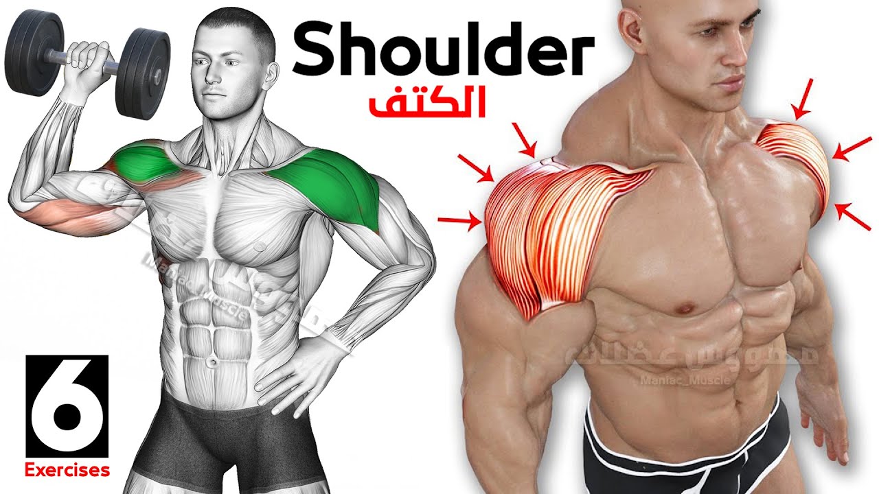 How To Build Your Shoulder Fast (6 Effective Exercises)-تمارين الكتف ...