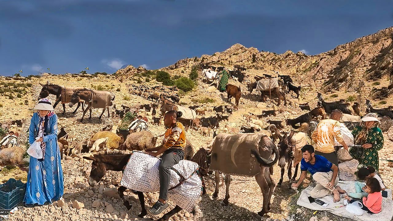 Happy moments in the migration of nomads - YouTube