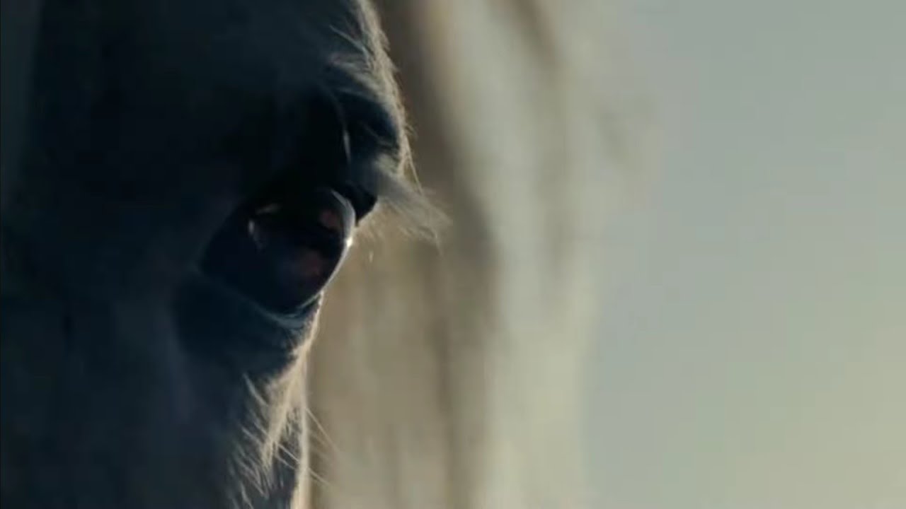 Stoto - 299792458 [Music Video] #stoto - YouTube