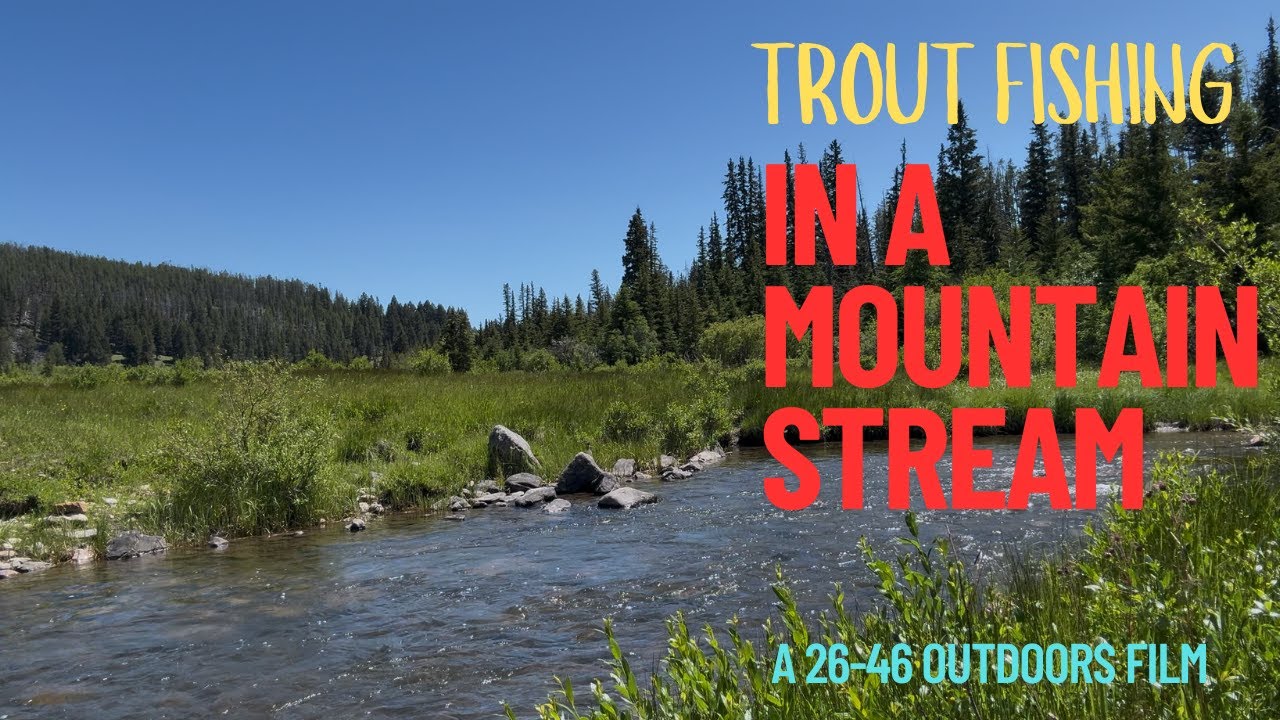 Trout Fishing in a Mountain Stream - YouTube