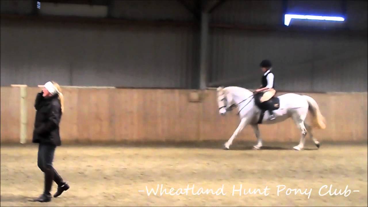 Wheatland Hunt Pony Club- Dressage Rally 1/12/2013 - YouTube