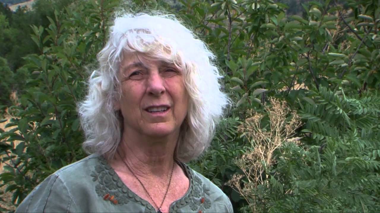 Goat's Rue in the Wild - YouTube