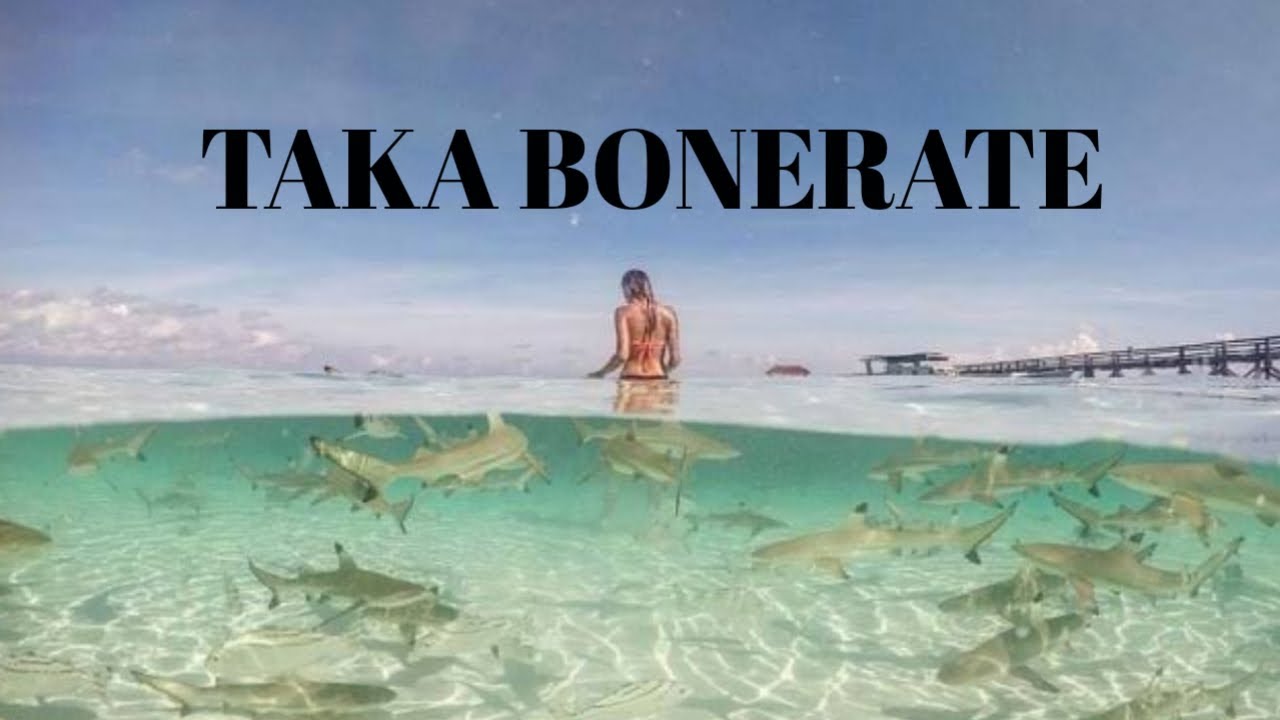 Taman nasional taka bonerate - YouTube