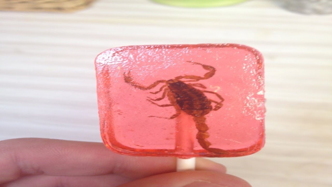Taste Test - Scorpion Lollipops - YouTube