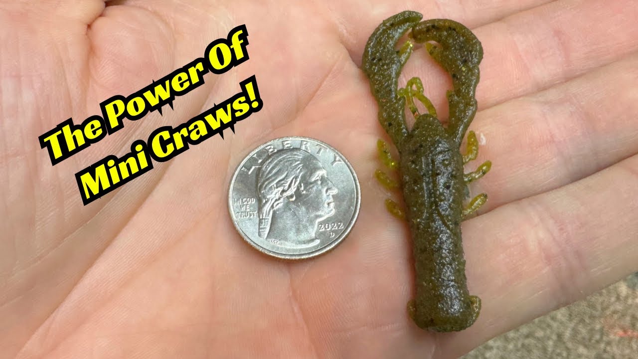 These Baby Craws Catch Giant Bass! - YouTube