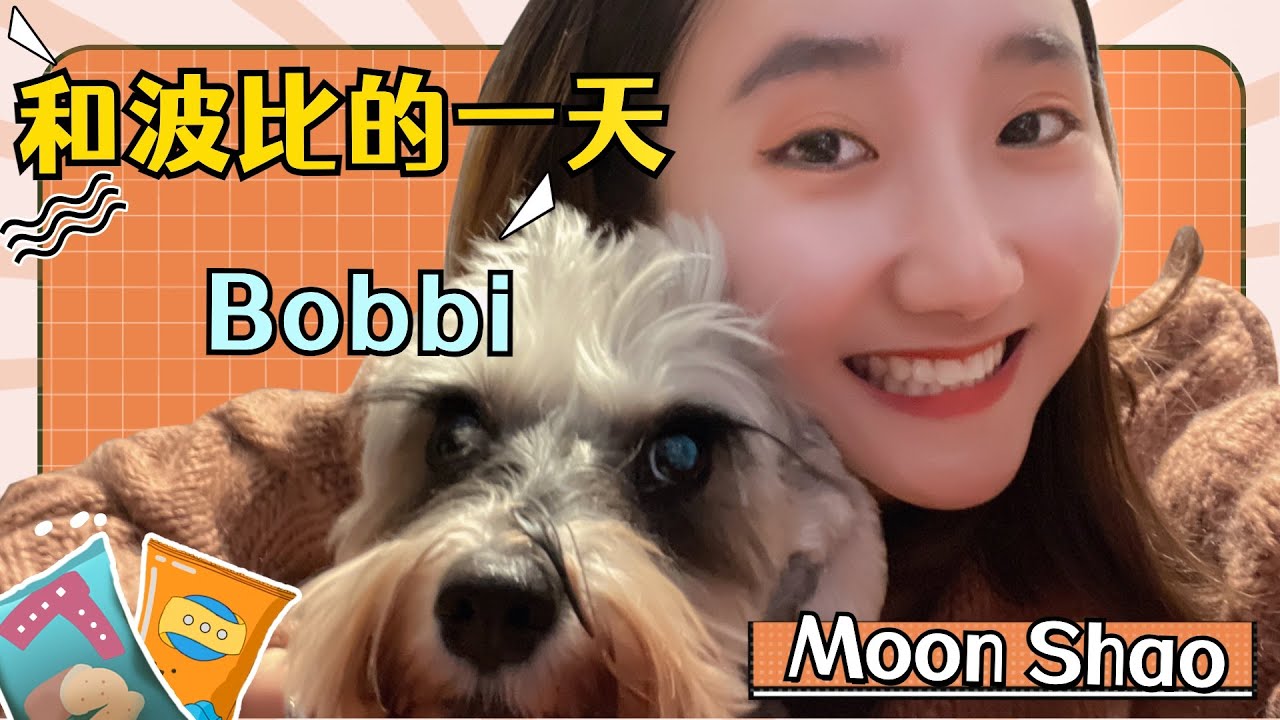 我和波比狗狗的一天[4K]Bobbi(dog) and I spent some quality time together｜Life in ...