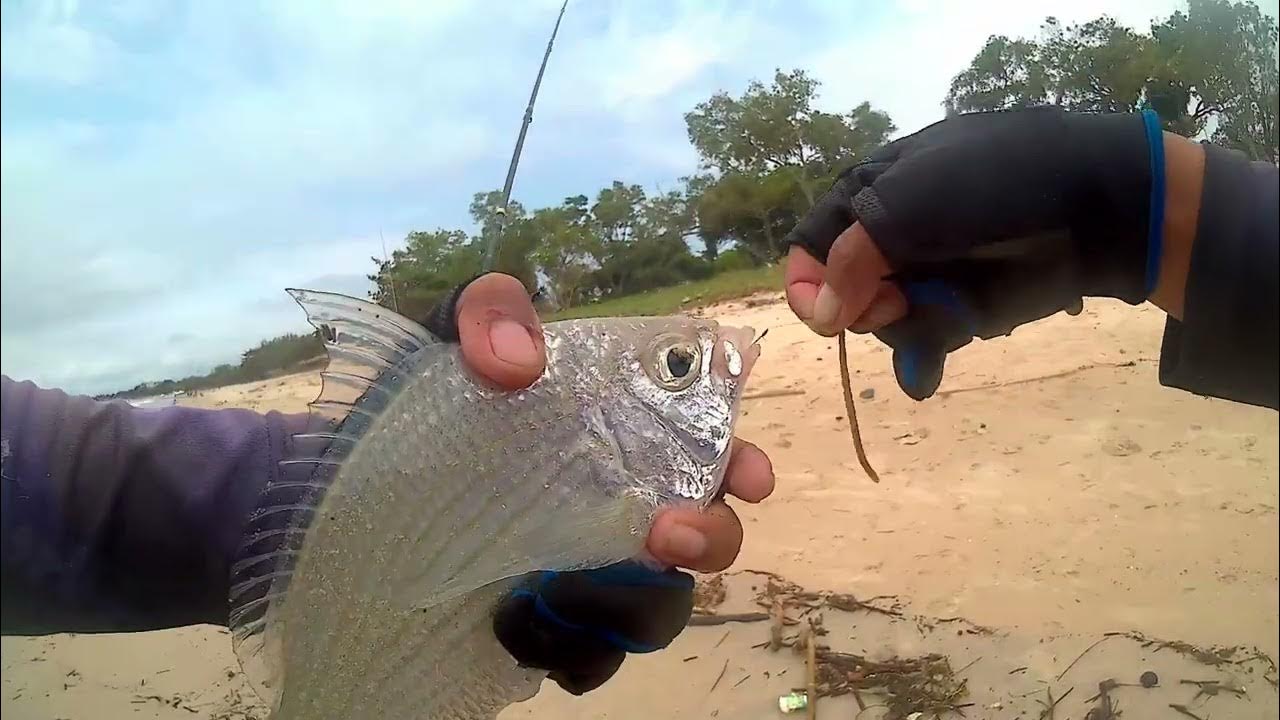 Pemancing pinggiran pasti senang dengan spot mancing seperti ini - YouTube