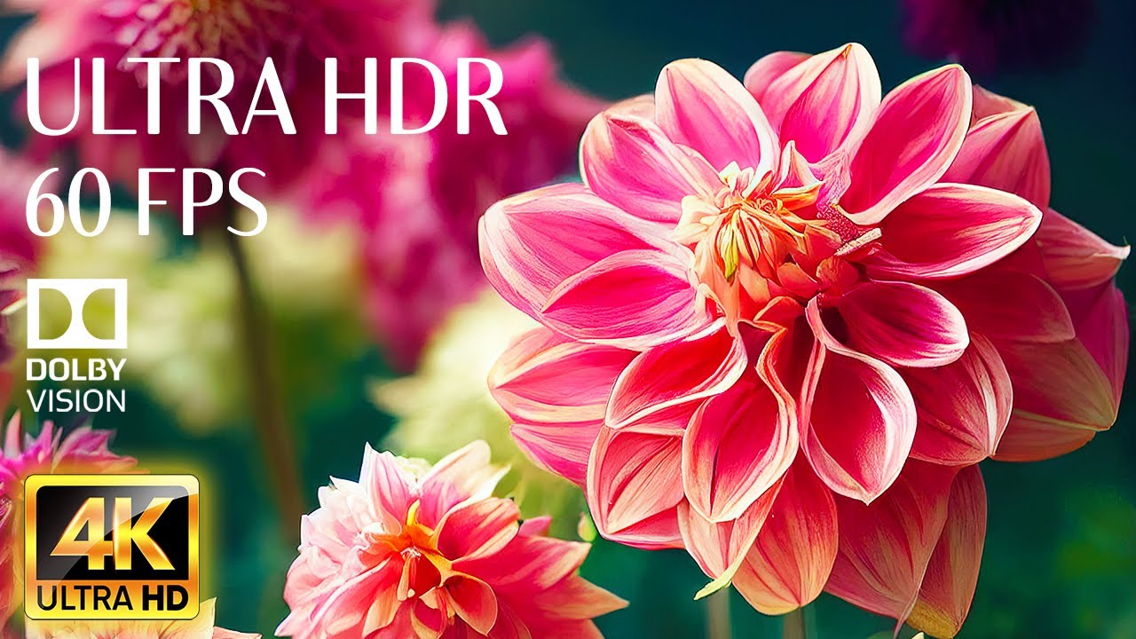 4K HDR 60fps Dolby Vision with Calming Music - The Most Beautiful ...