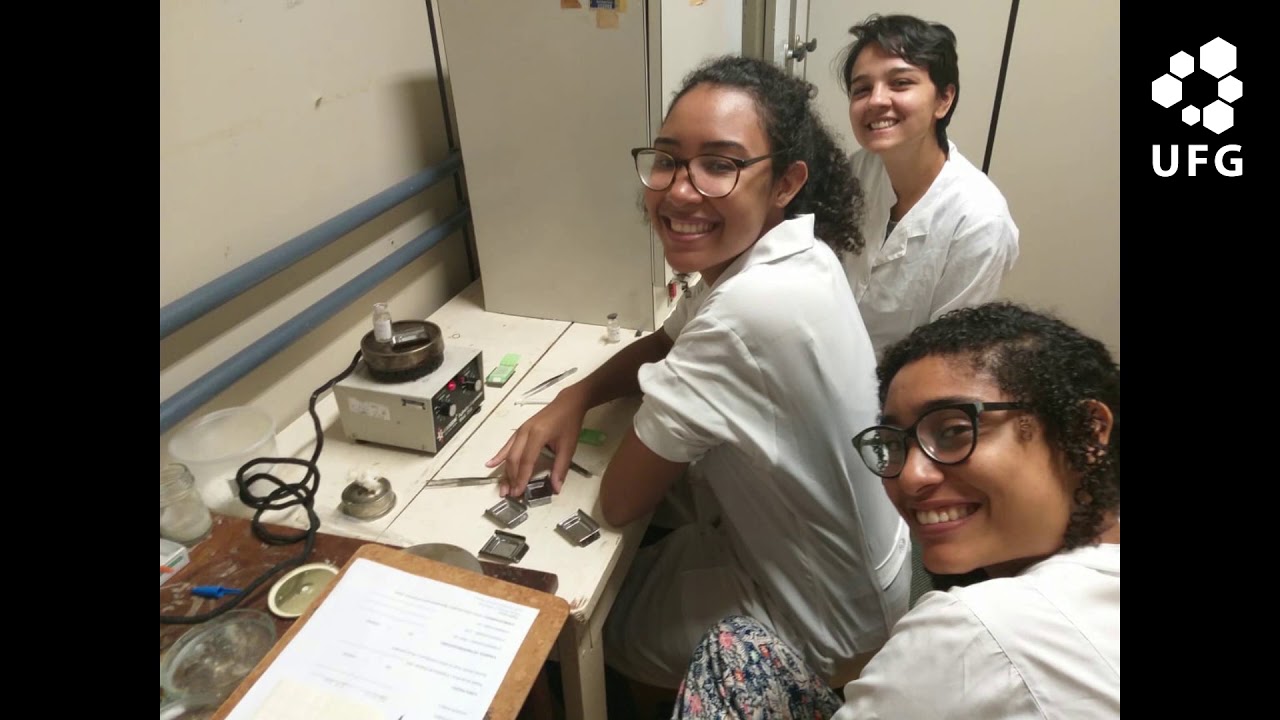 ICB - CONHEÇA O ICB - YouTube