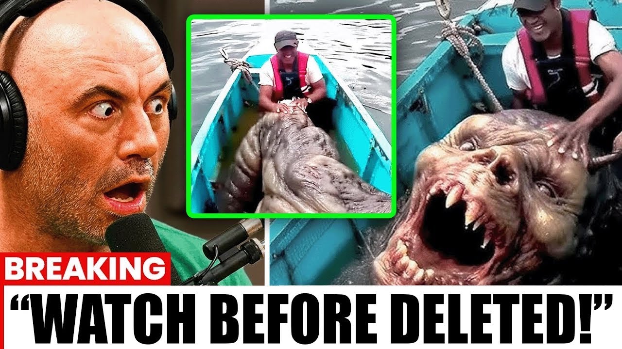 A Fisherman Caught a Strange Creature — No One Believed What He Found ...