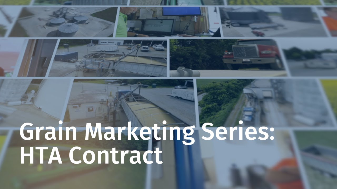 Grain Marketing Series: HTA Contract - YouTube