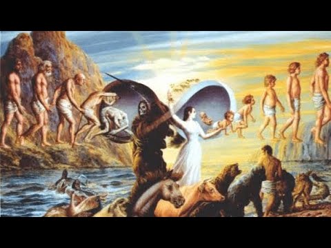 reincarnation, evolution and remembering our past incarnations - YouTube