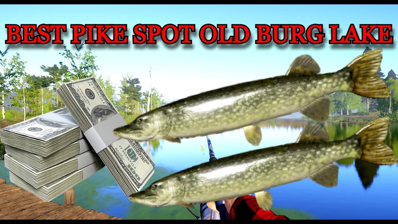 Russian Fishing 4 (RF4) Active PIKE spot on OLD BURG LAKE! - YouTube