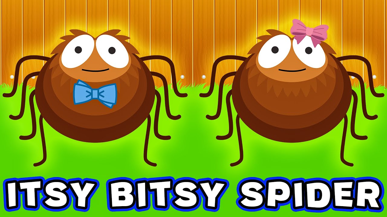 Itsy Bitsy Spider | Fun Animated Sensory | Baby/Toddler - YouTube