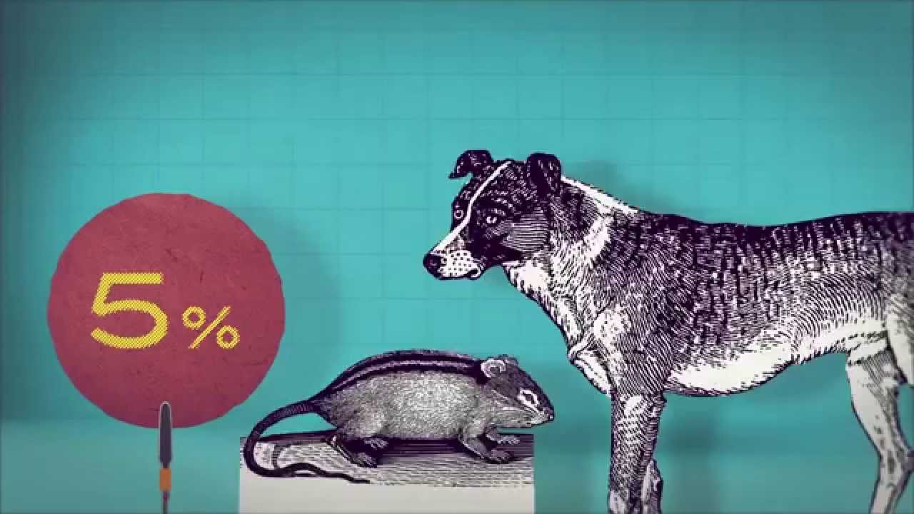 "What Percentage of Your Brain Do You Use?" Richard E . Cytowic, MD MFA ...