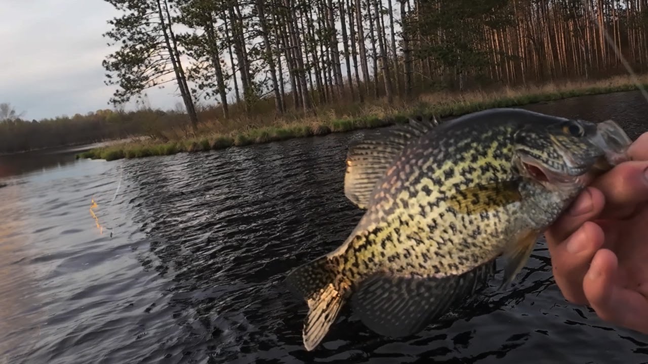 Catching more Crappie and Learning to trap Leeches (Surprising Results ...